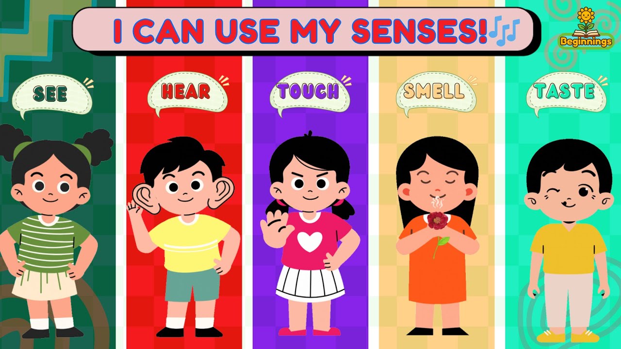 🎵5 SENSES SONG for Kids 👧👦 | Educational Learning Video | TODDLER Fun ...