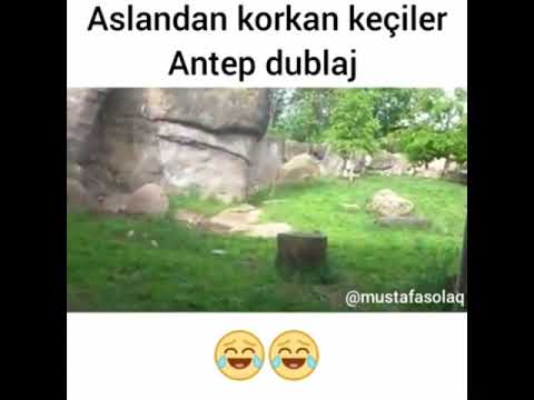 Antep dublaj