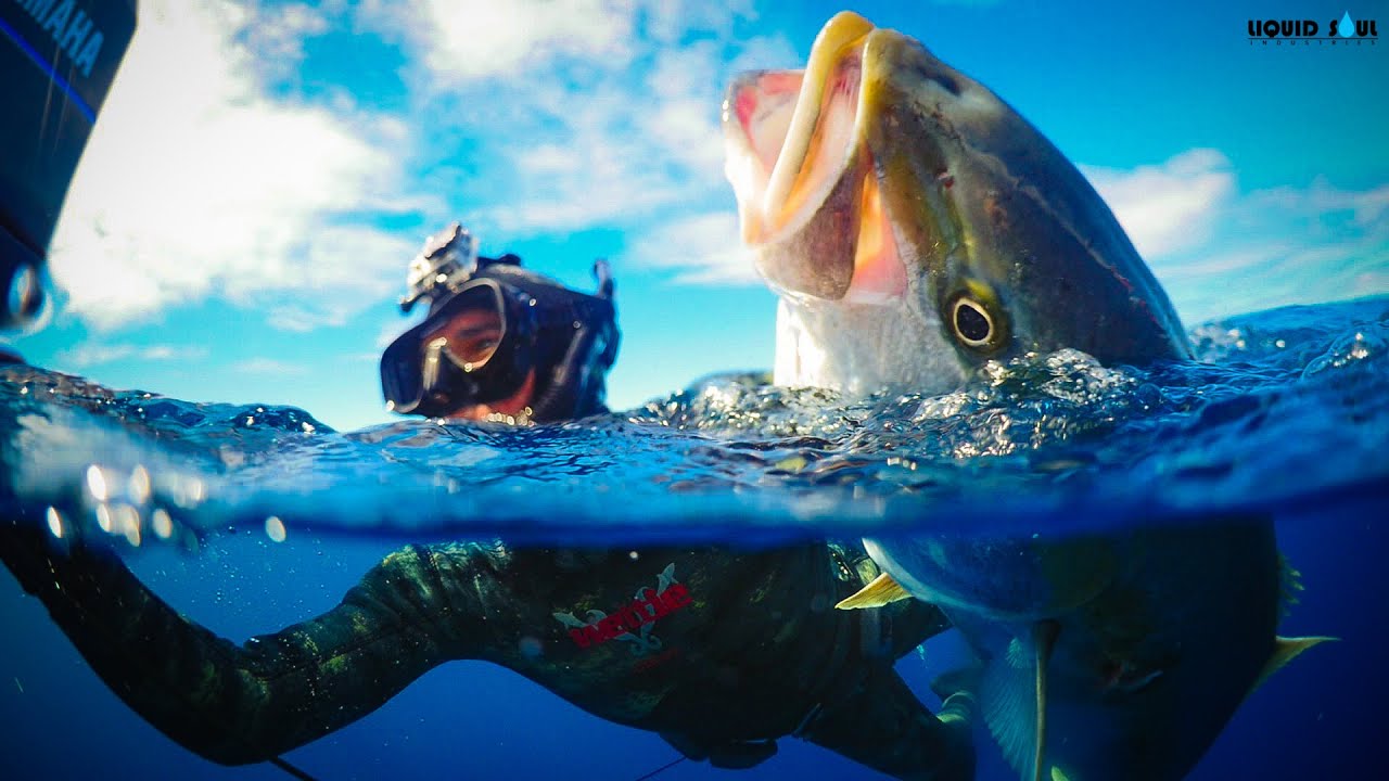 Spearfishing The Bay of Islands, New Zealand (Team Guam) | New Zealand ...