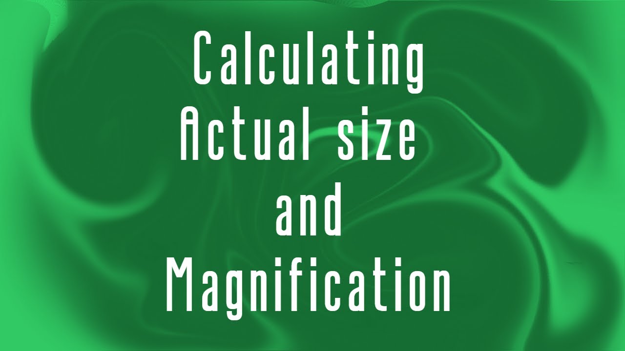 Calculating Actual size and Magnification | Topic 1.1 - YouTube