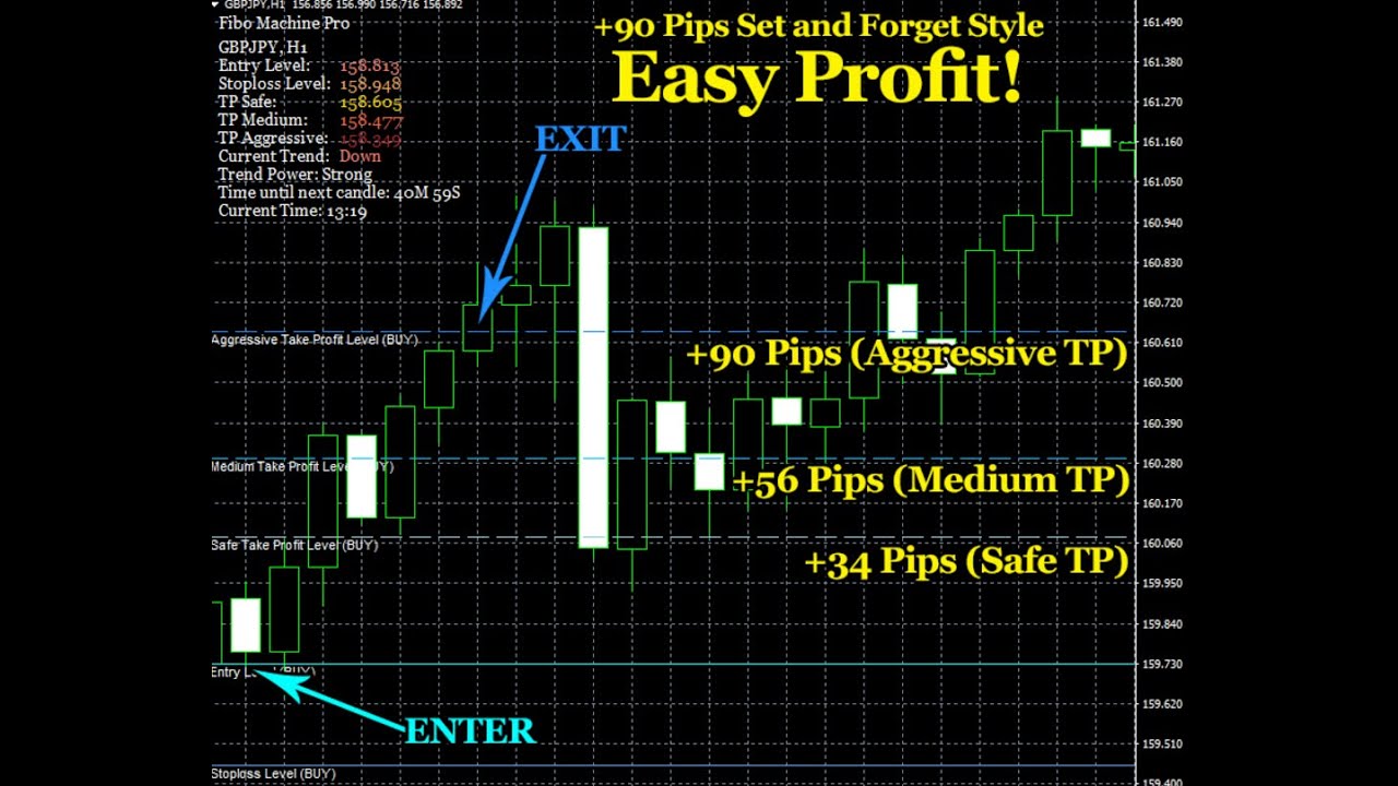 Fibo Machine Pro Review (slides) - YouTube