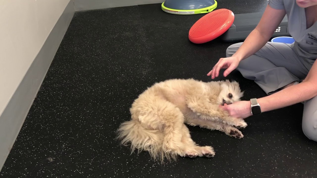 Assisted Roll Overs - YouTube