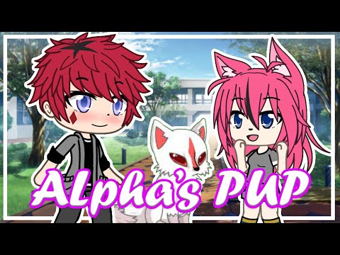 🐾 The Alpha’s Pup 🐾 ~ GLMM ~ {inspired Glmm}
