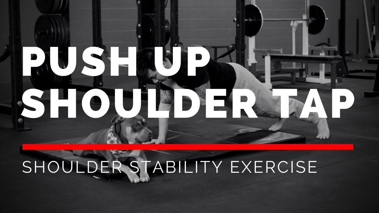 Push Up Shoulder Taps (SIMPLE Shoulder Stability Exercise) - YouTube