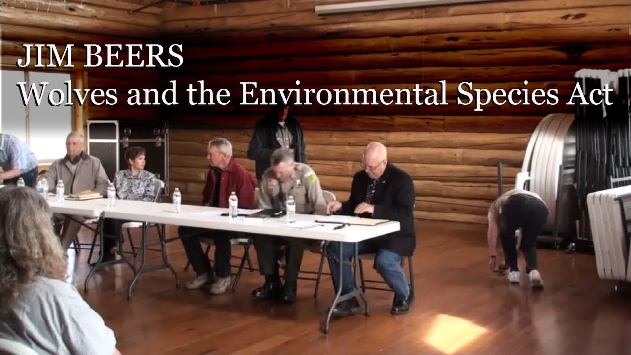 Wolves and the Environmental Species Act - Jim Beers - YouTube