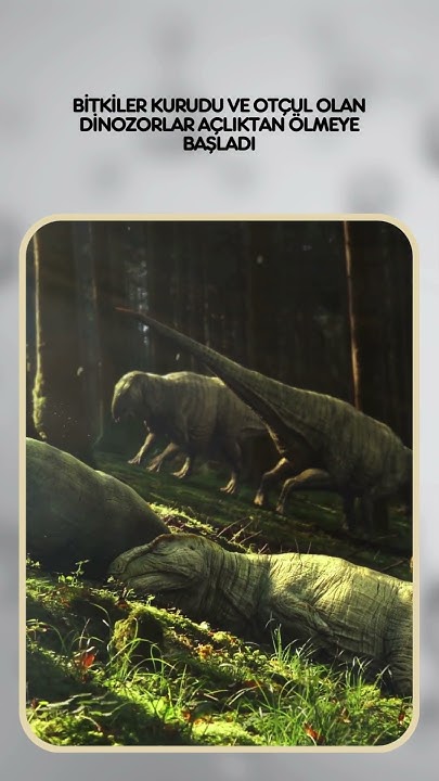 Dinozorlar Nasıl Yok Oldu? #dinosaur #dinozor #belgesel #bilgi #documentry #göktaşı #krater ...