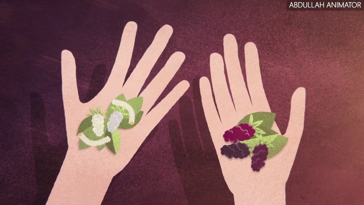 Explainer video | London fruit - YouTube
