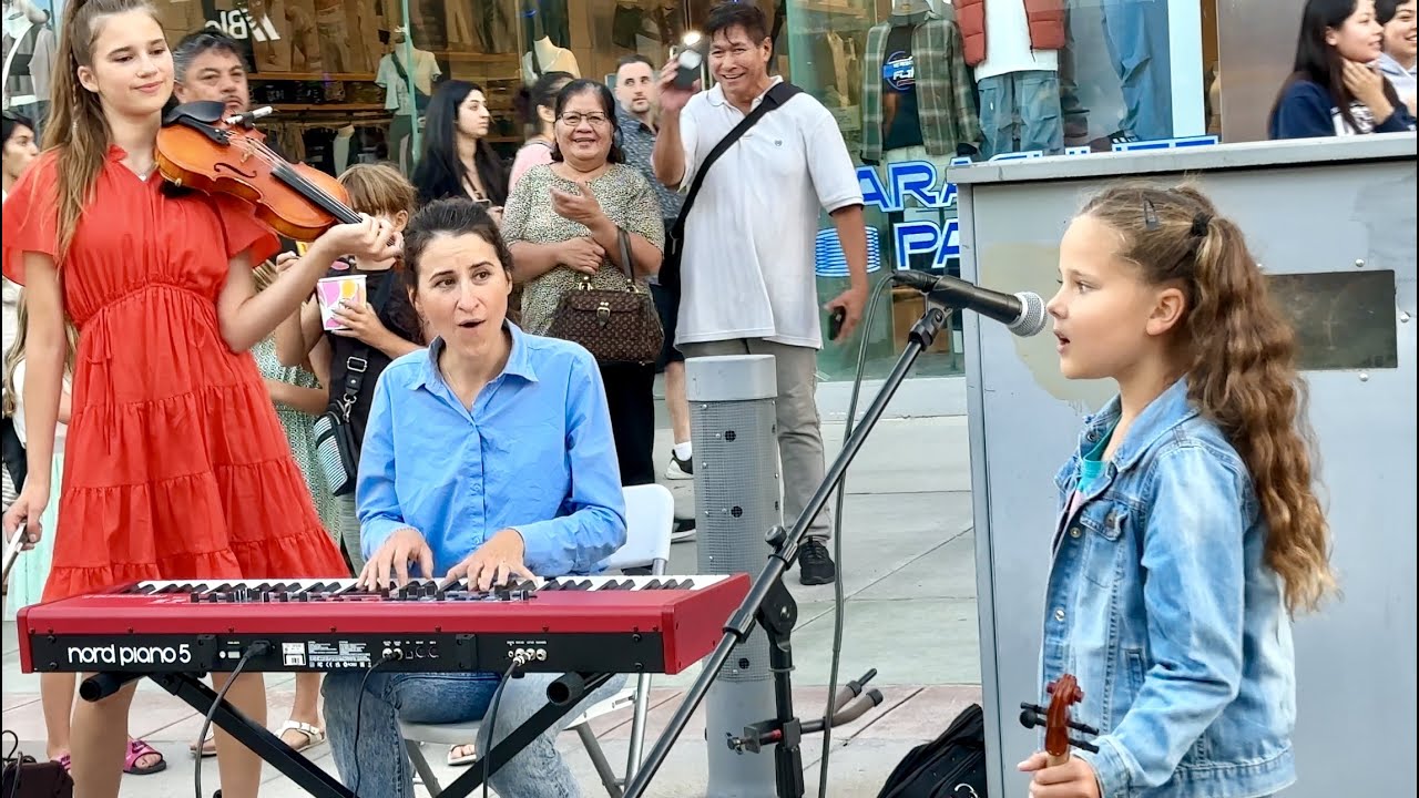 My Heart Will Go On - Celine Dion | Karolina Protsenko - Violin Cover ...