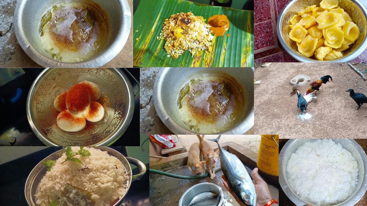 ಇವತ್ತು ಹೀಗ್ ಯಾಕೆ ಅನ್ನಿಸ್ಬಿಡ್ತಪ್ಪಾ 😱😴😮‍💨 bulla ಸಿಟ್ಟ ಮಾಡ್ಕೋಬಿಟ್ಟನೆ ನನ್ನ ...