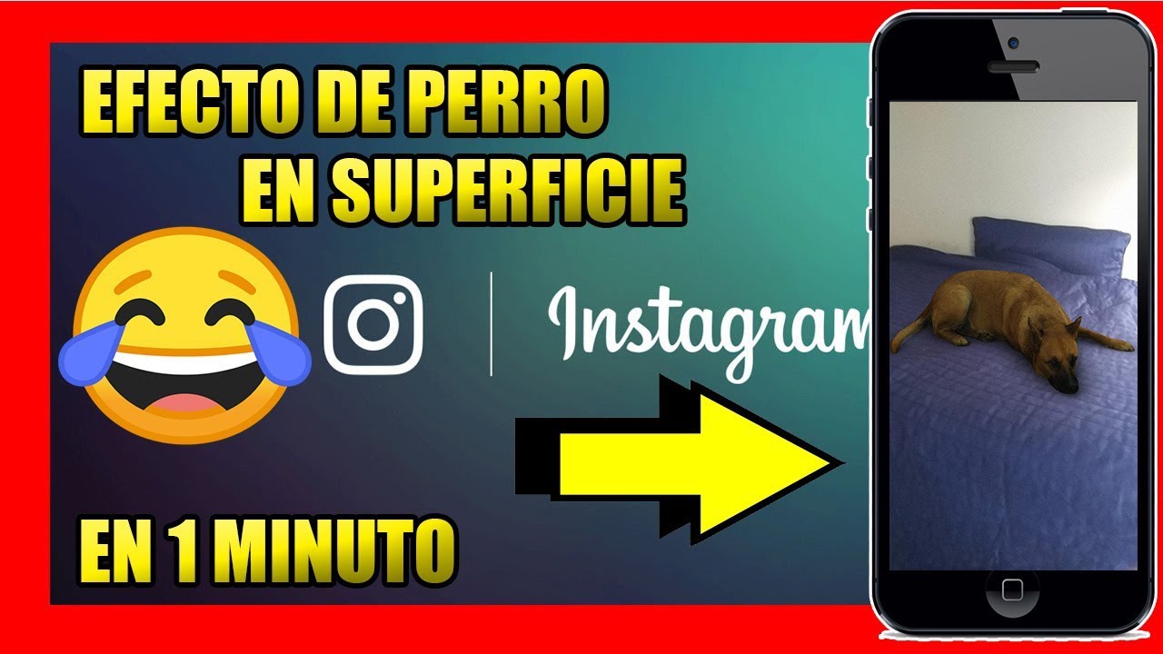 Como PONER el FILTRO de PERRO🐶 en INSTAGRAM📸😂 [SASHA DOG] - YouTube