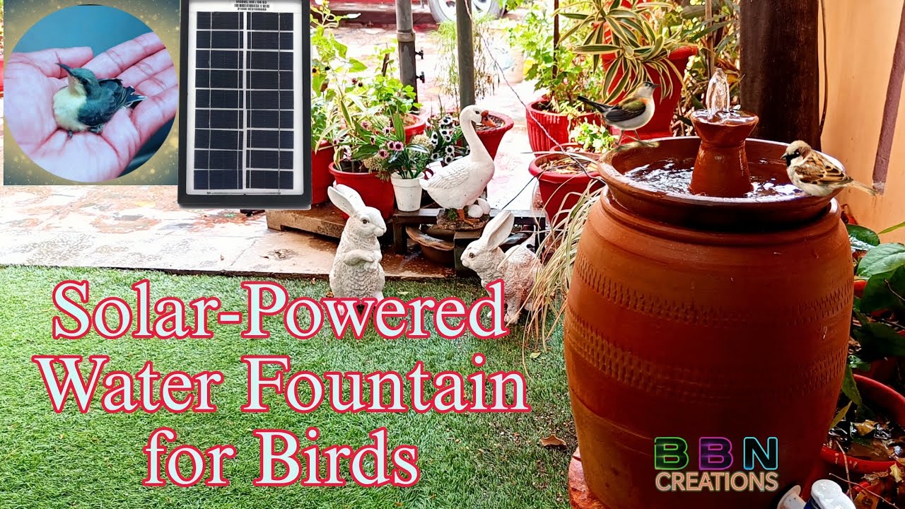 Solar powered Water Fountain for Birds - YouTube