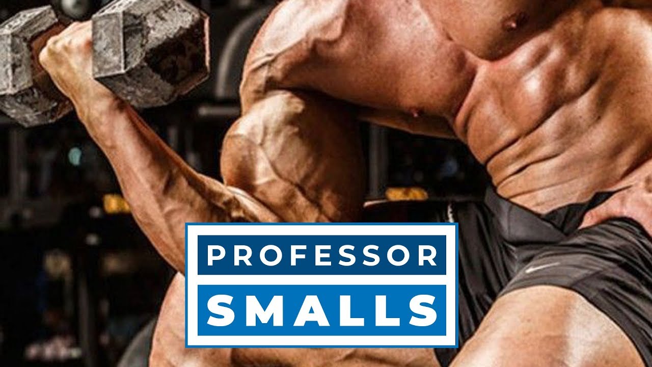 How Often Should You Train Each Muscle Group Professor Smalls YouTube how-often-should-you-train-each-muscle-group-professor-smalls-youtube