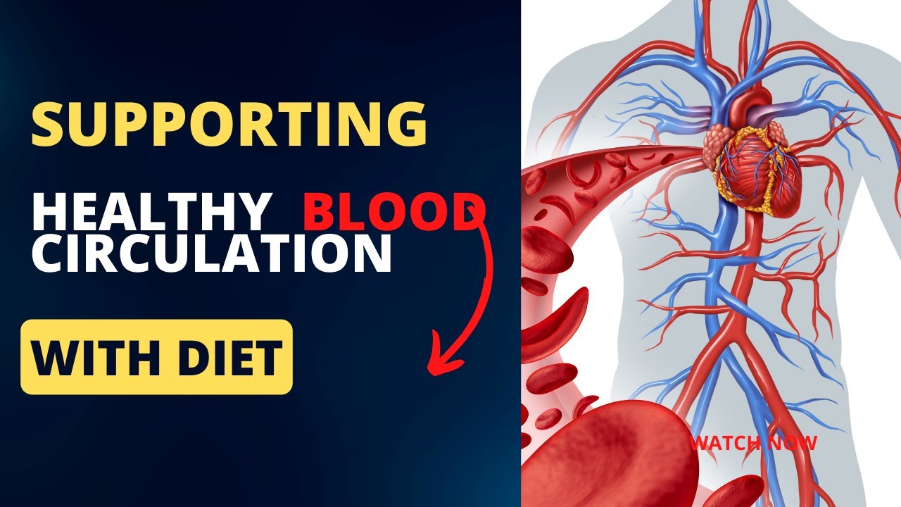 supporting healthy blood circulation with diet - YouTube