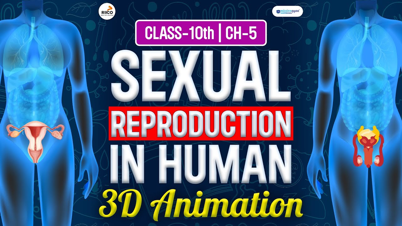 Sexual Reproduction in Human 3D Animation | Class 10 Sexual ...