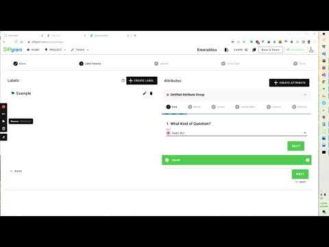 How to Create Labels in LabelStudio and Diffgram (Data Labeling) - YouTube