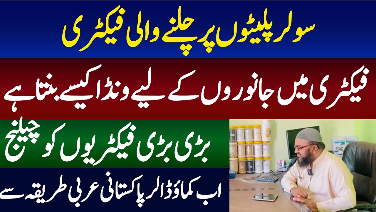 How to Start Wanda Factory and Best Wanda Formula for Animals - YouTube