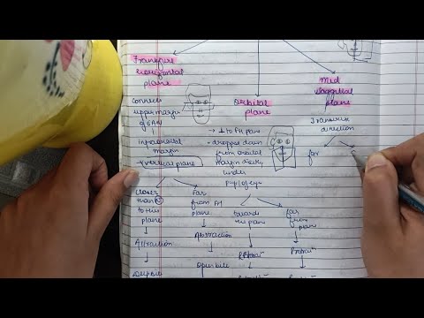 Simon's Classification of Malocclusion Orthodontics - YouTube