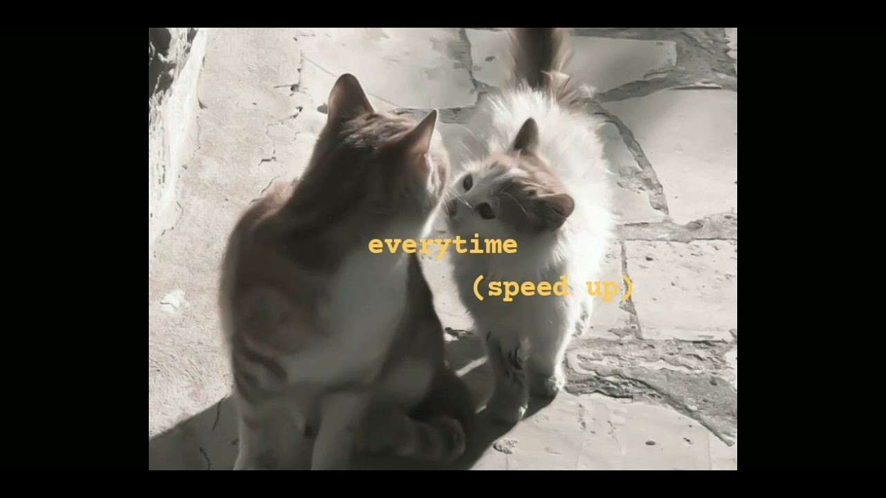 everytime - CHEN(เฉิน) X Punch(พั้นช์) (speed up) - YouTube