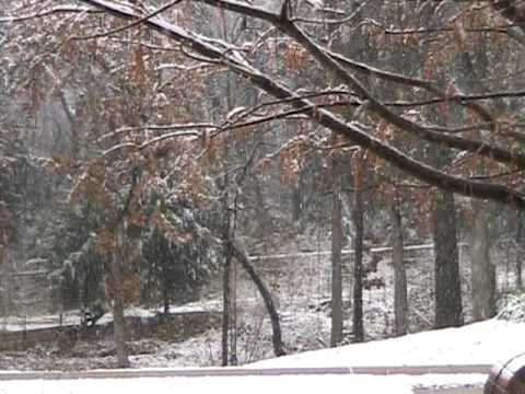 Snow in Denton, Tx pt 2 - YouTube