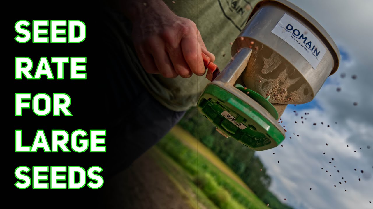 What is the best seed rate for large seed blends? - YouTube