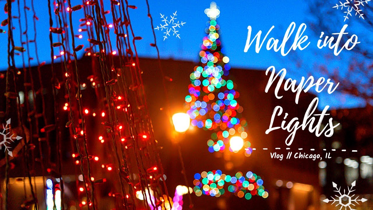 🕯️Walk into Naper Lights // Naperville Downtown // The most beautiful ...