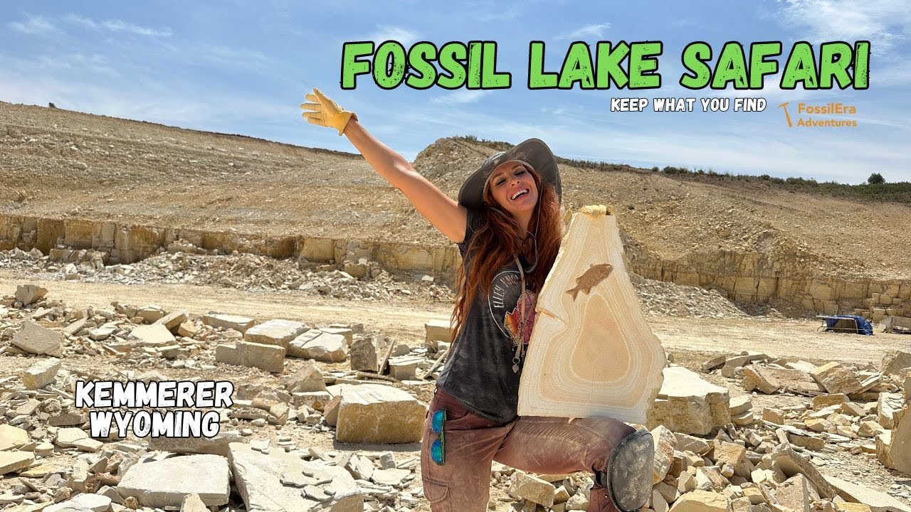 RARE FOSSIL FISH Hunt- Wyoming Fossil Lake Safari KEEP what you dig up ...