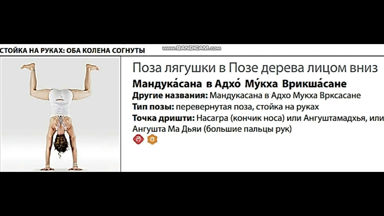 Frog Pose in Downward Facing Tree Pose - YouTube