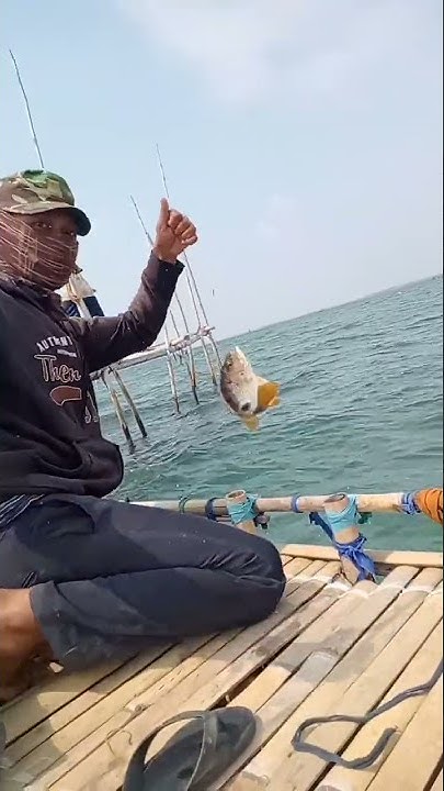 mancing ikan jenaha / kakap tompel - YouTube