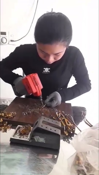 GL010457 PHAM NGOC THUY - YouTube