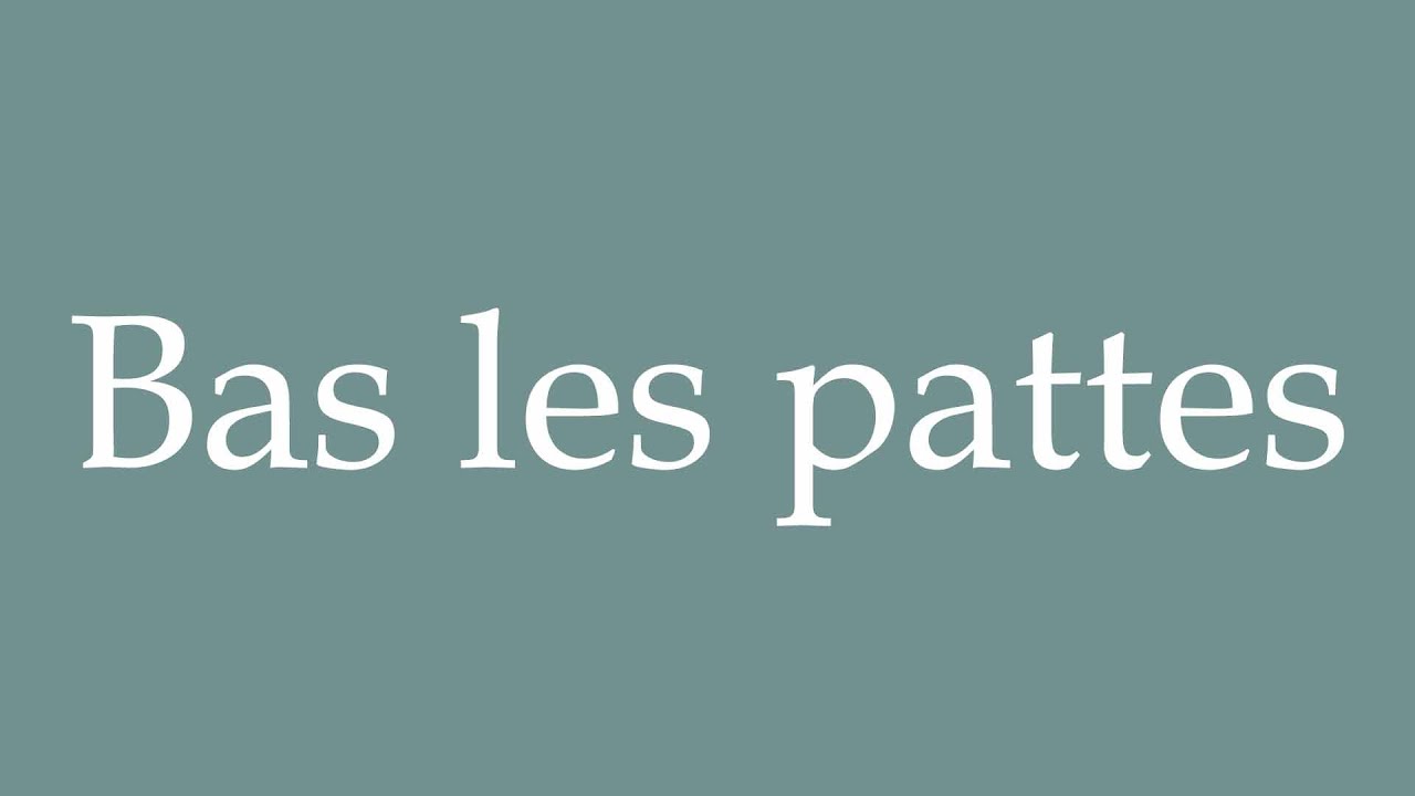 How to Pronounce ''Bas les pattes'' (Hands off) Correctly in French ...