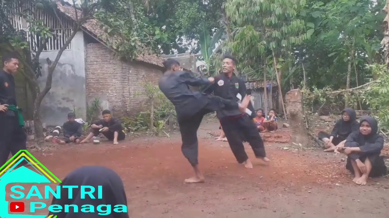 Sambung Ujian Kenaikan Tingkat Ranting Ampel | Mas Runako Jatah Atlit ...