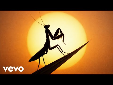 Greeicy, Cultura Profética - Mantis (Audio)