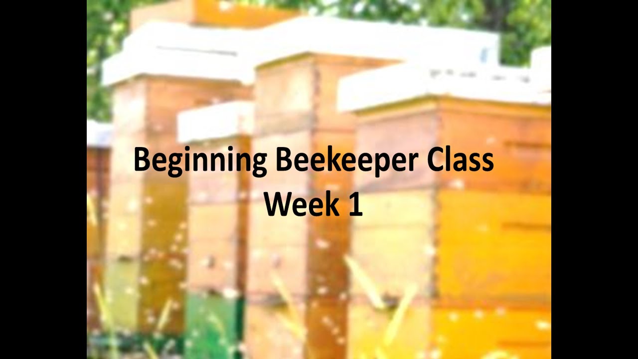 Beginning Bee Keeping Class Week 1 - YouTube