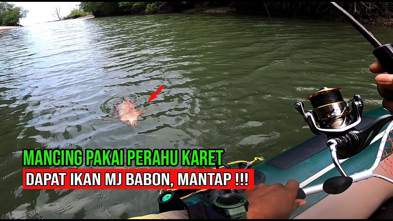 Tiba tiba langsung disambar ikan MJ, mantap || Mancing pakai perahu ...