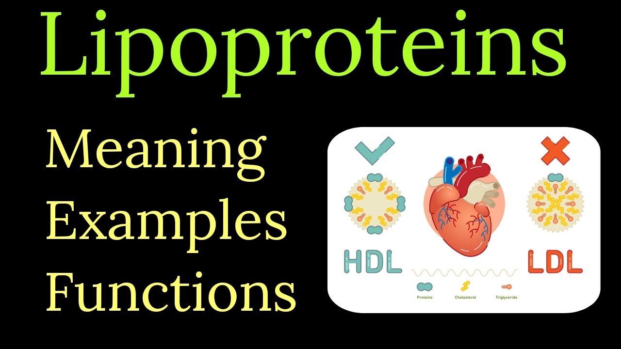 Lipoproteins kya hai: Meaning, types, examples functions ...