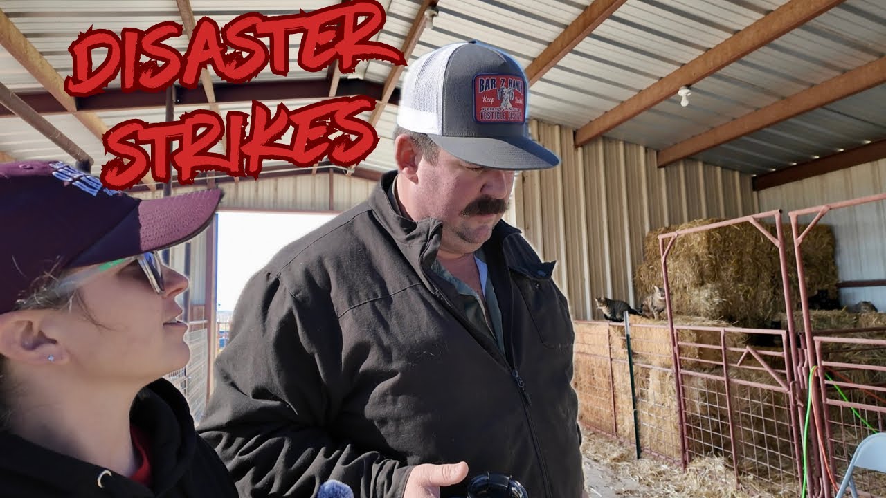 Catastrophe at the Barn | Bar 7 Ranch - YouTube