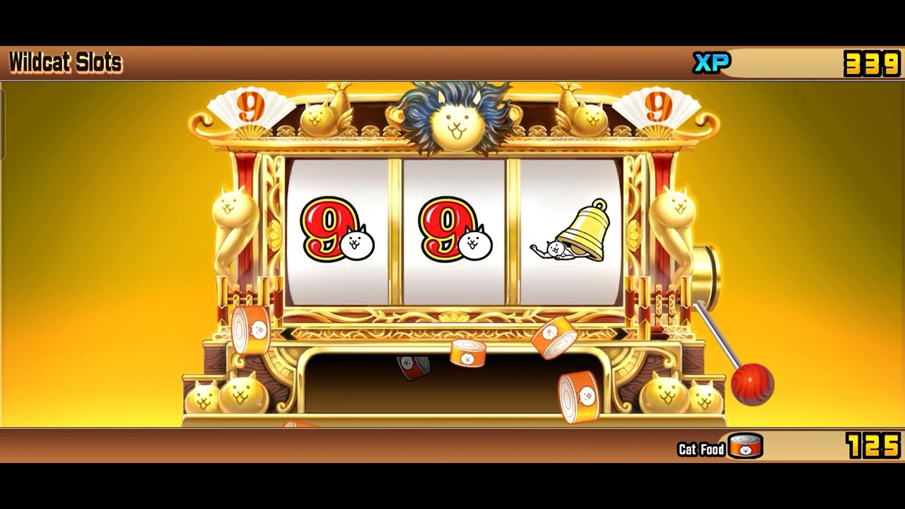 I rolled wildcat at slots 9 yr anniversary battle cats - YouTube
