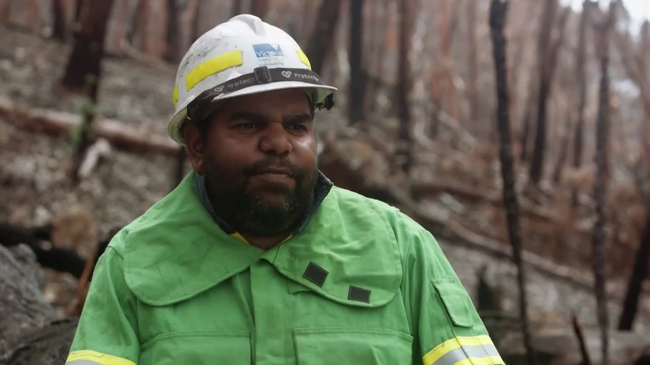 Recovery from a bushfire - Forest Fire Management Victoria - YouTube