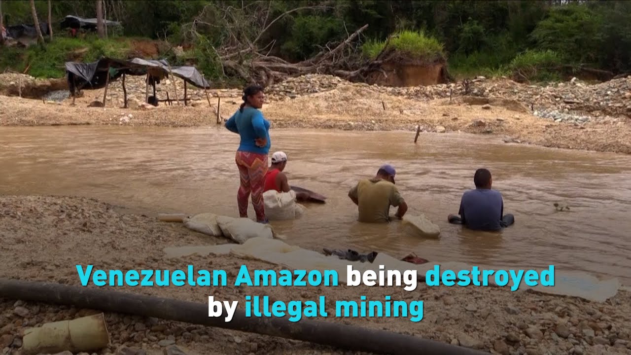 Venezuelan Amazon being destroyed by illegal mining - YouTube