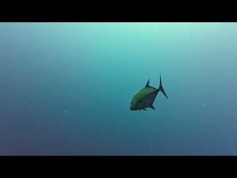 peixe se exibindo