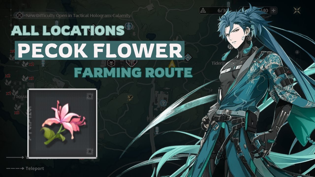 All Pecok Flower Location and Farming Route Guide - YouTube