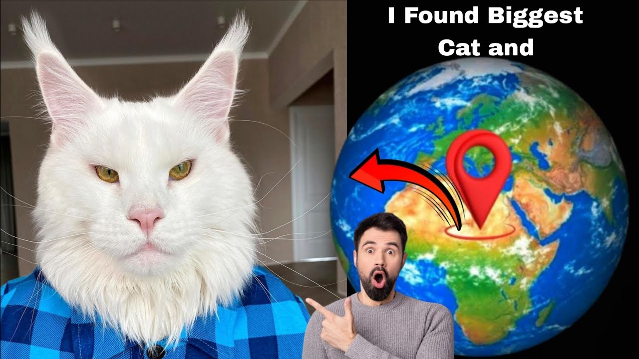 I found biggest cat and🤯😱on Google maps 🔍 🌍 and Google#Earth#video# ...