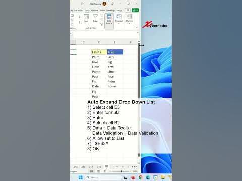 UPDATED! Auto Expand Drop Down List Using Dynamic Array In Excel ...