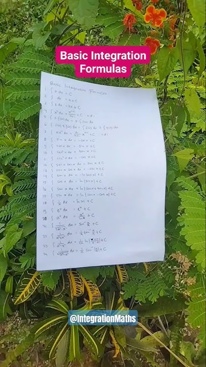 Basic Integration Formulas - YouTube