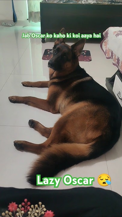 Yah to lazy ho gaya hai Oscar Singh #music - YouTube