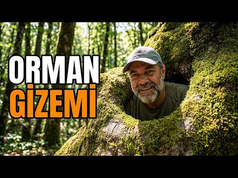 Kızılcıkların Peşinden Vahşi Vadiye Girdik! 🍒