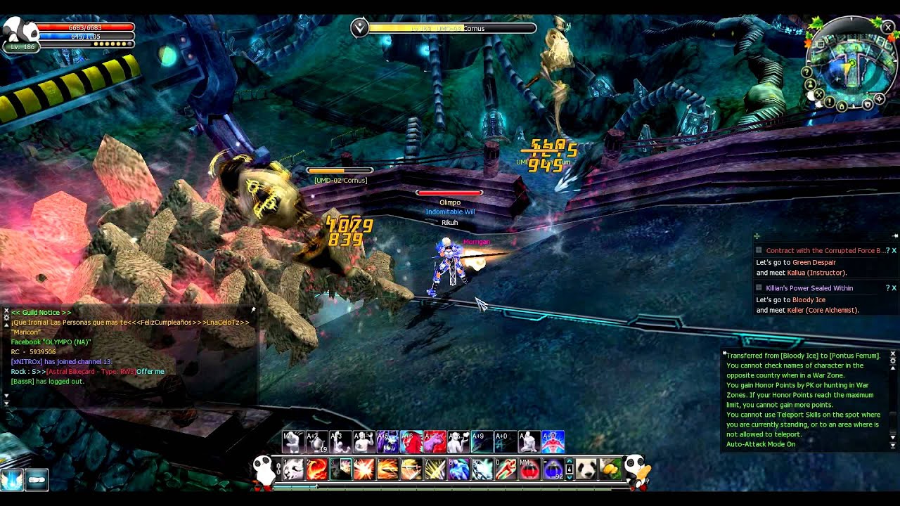 Cabal NA - How to level your pet by Rikuh - YouTube