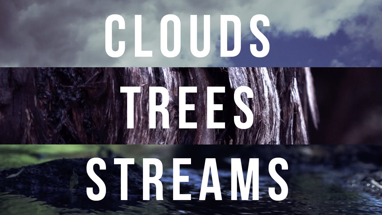 These Three Natural Things Can Save You... - YouTube