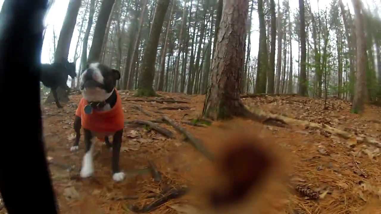 Hero Dec 31, 2011 001 - YouTube