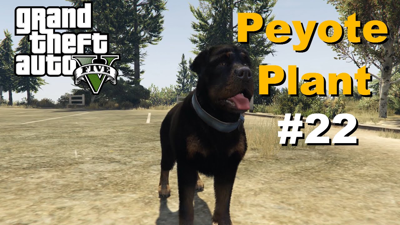 Gta 5 Rottweiler